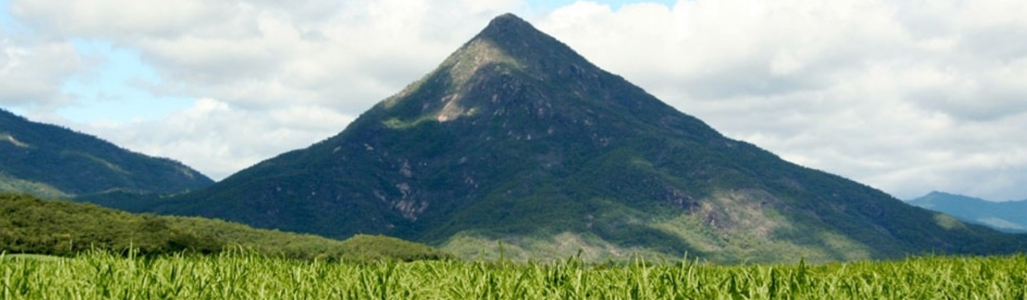 Aloomba State School